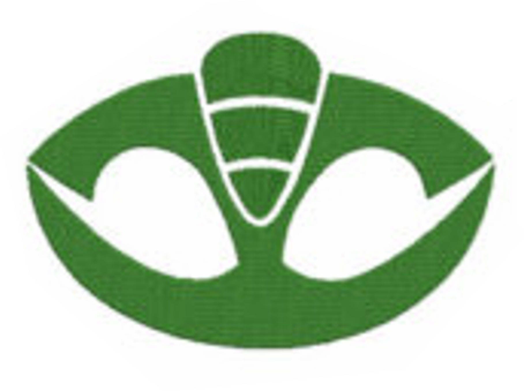 Gecko Symbol Cookie Cutter - Etsy