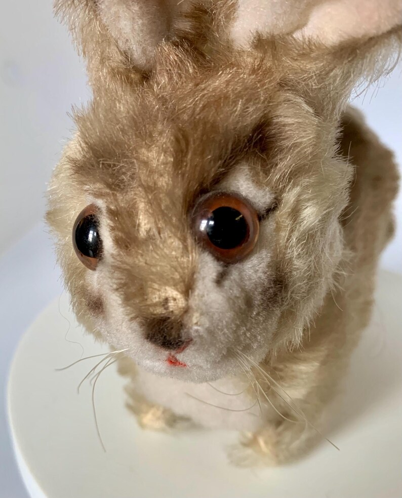 Vintage German Steiff Pummy Bunny Rabbit, Crouch Position, Swivel Head ...
