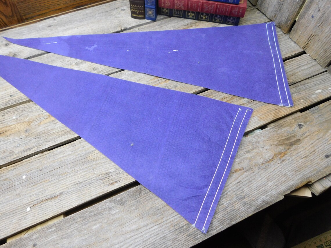 Set of 2 Vintage Felt Northwestern Pennants Mascot Wildcat | Etsy