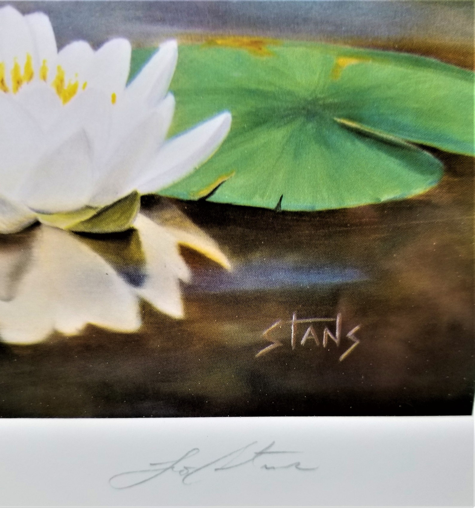 Leo Stans Limited Edition Collector Edition Signed Print - Etsy