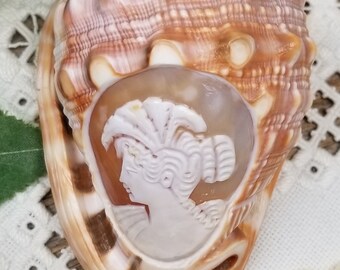 Conch Shell Cameo | Etsy