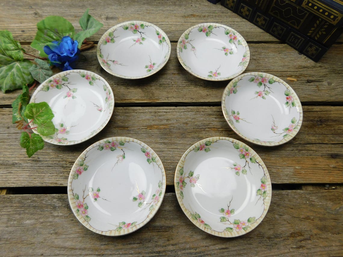 Set of 6 Vintage Hand Painted Nippon China Floral Designed | Etsy