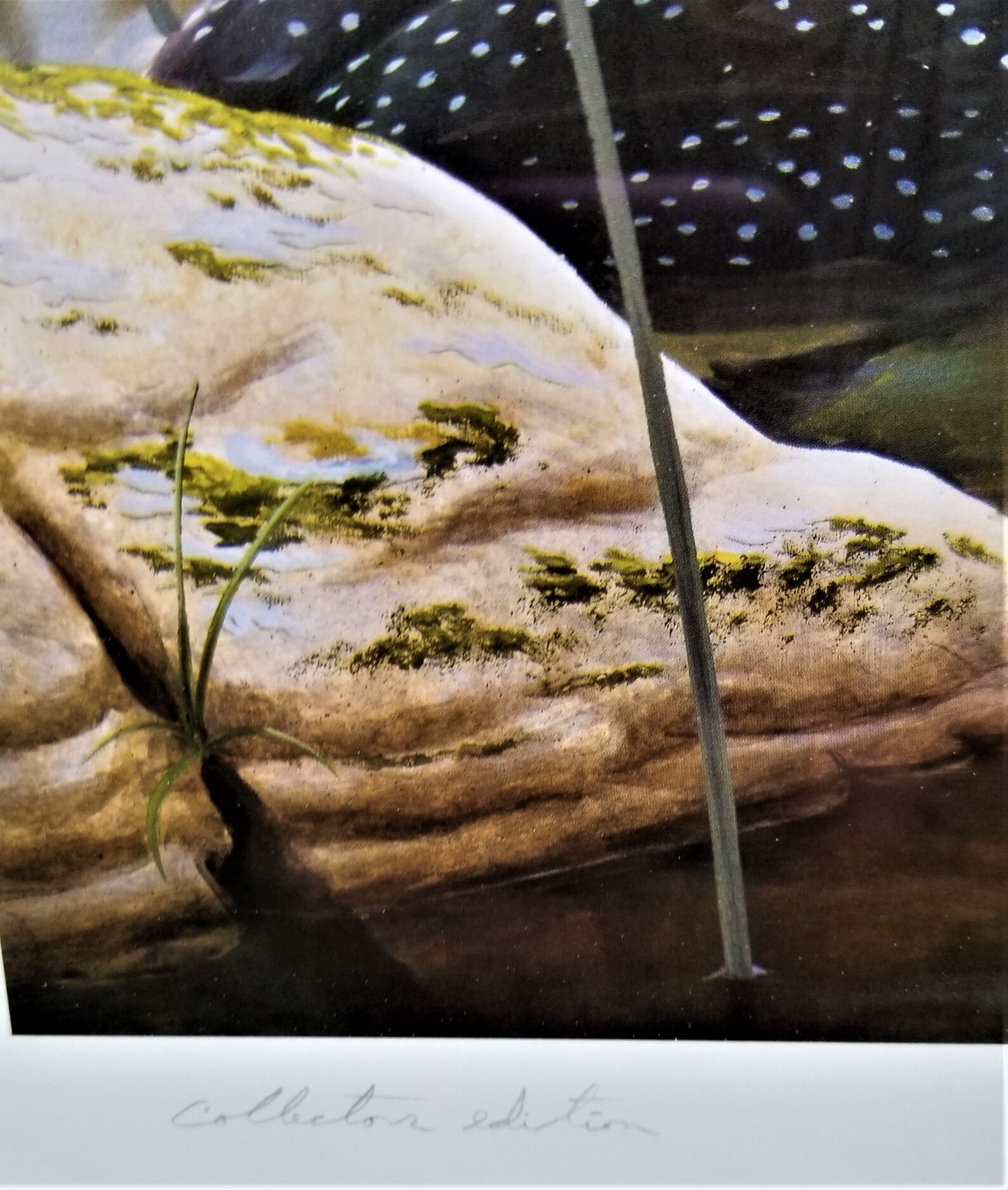 Leo Stans Limited Edition Collector Edition Signed Print - Etsy