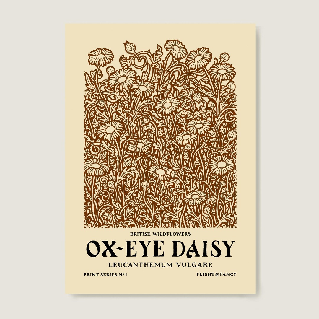 Ox-eye Daisy Wildflower Poster Screenprint - Etsy