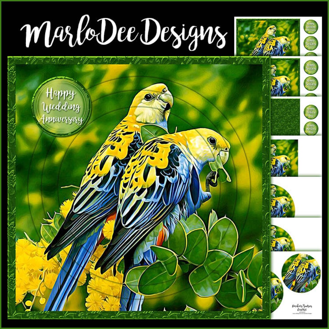 Parakeets 8x8 Circle Layered Card Kit - Etsy