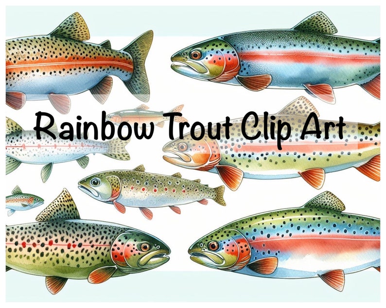 Rainbow Trout Watercolor Clip Art Digital Download - Etsy