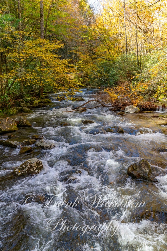 Mountain Stream In Fall