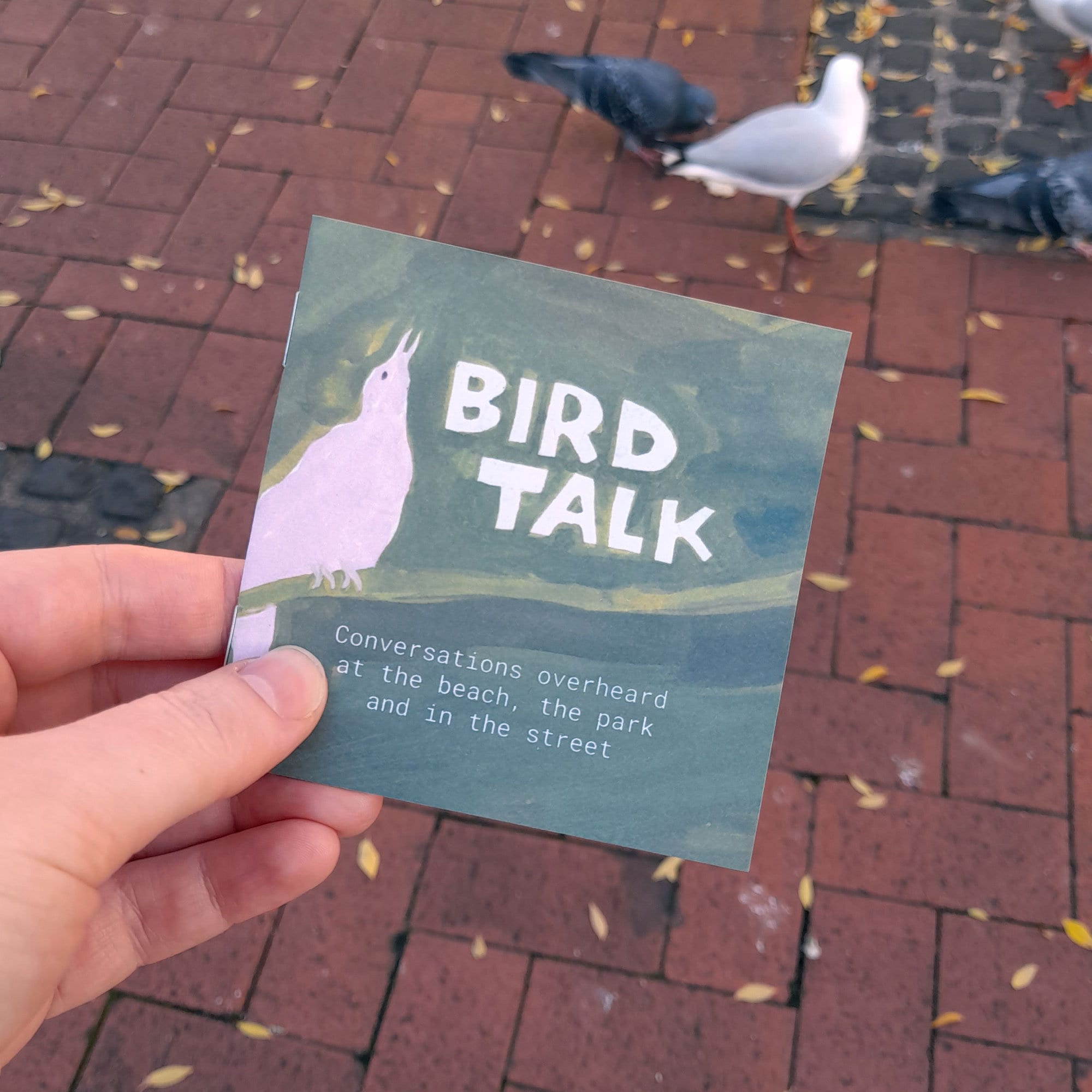 Bird Talk Zine - Etsy