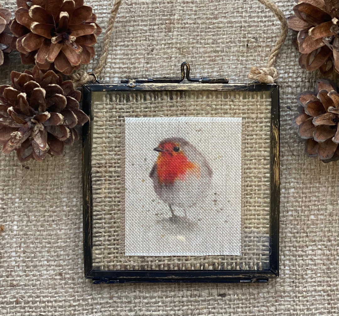 ROBIN Picture Frame Robin Artwork Glass and Metal Frame - Etsy UK