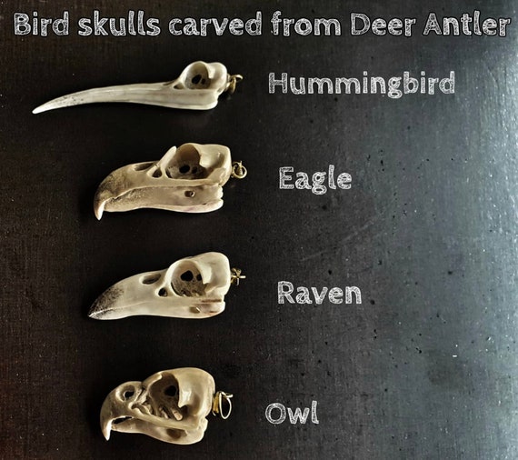 Jewelry & Beauty Raven Skull Carving Hand Carved Bone Men Jewelry ...
