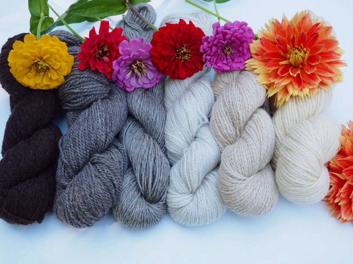 Shawl Knitting Pattern *fleece Flight* - Etsy