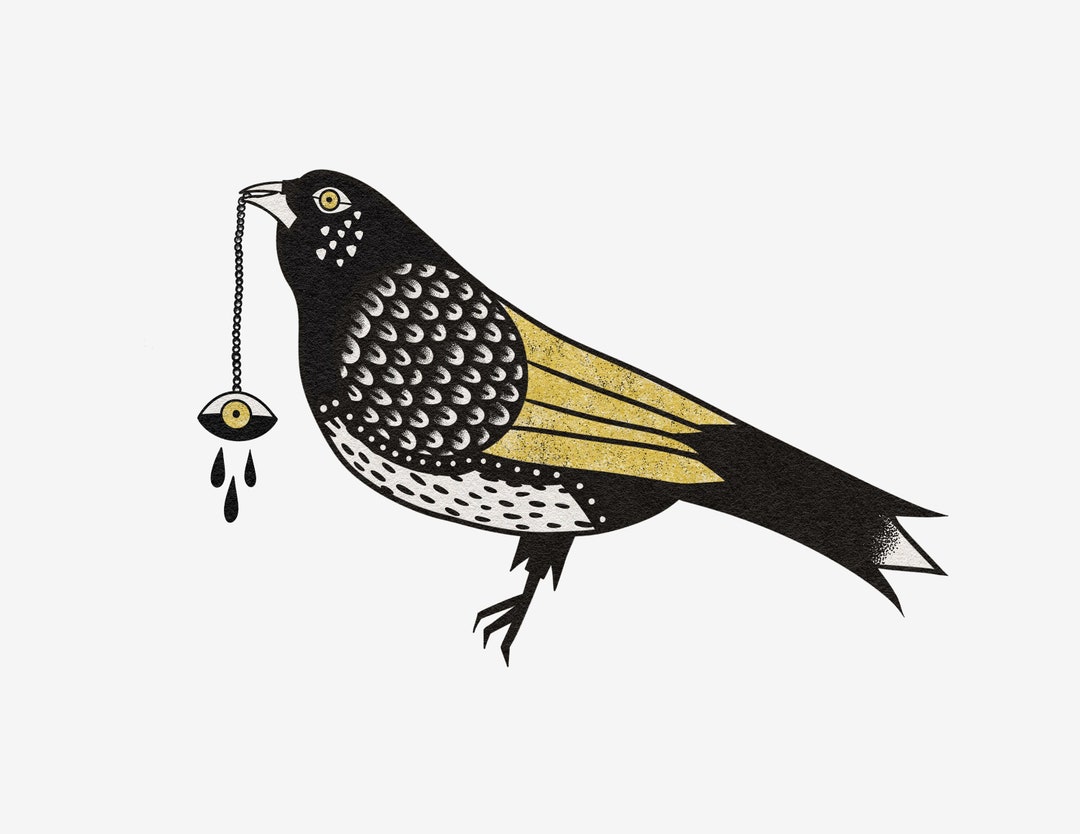 Bird's Eye Art Print - Digitally Illustrated Black and White, 8.5x11 ...