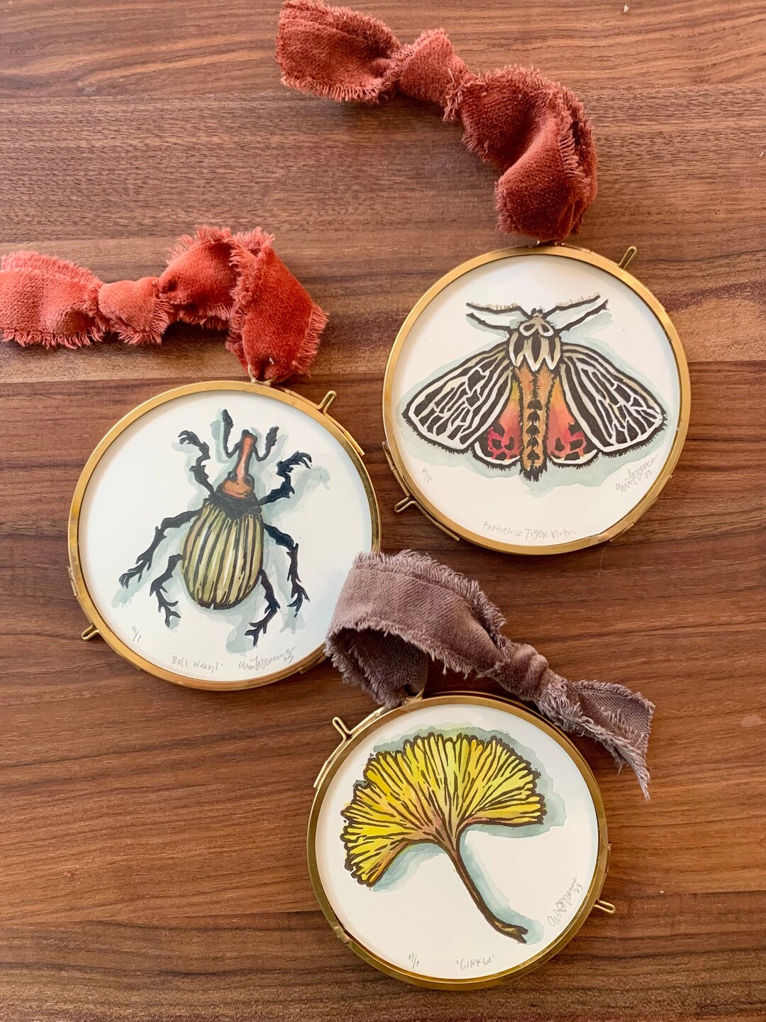 Ginkgo, Moth, and June Bug Beetle Holiday Botanical Natural Ornament - Etsy