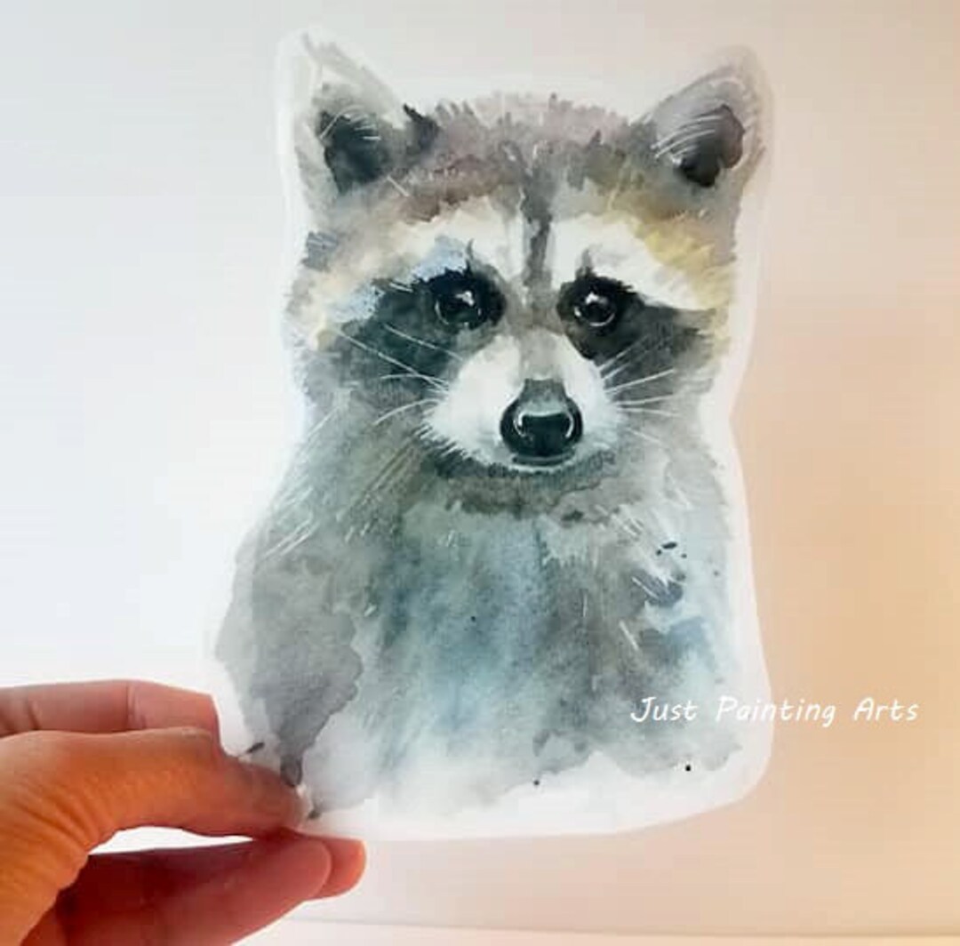 Raccoon,waterproof Vinyl Sticker, Vinyl Decal,limited Edition Sticker ...