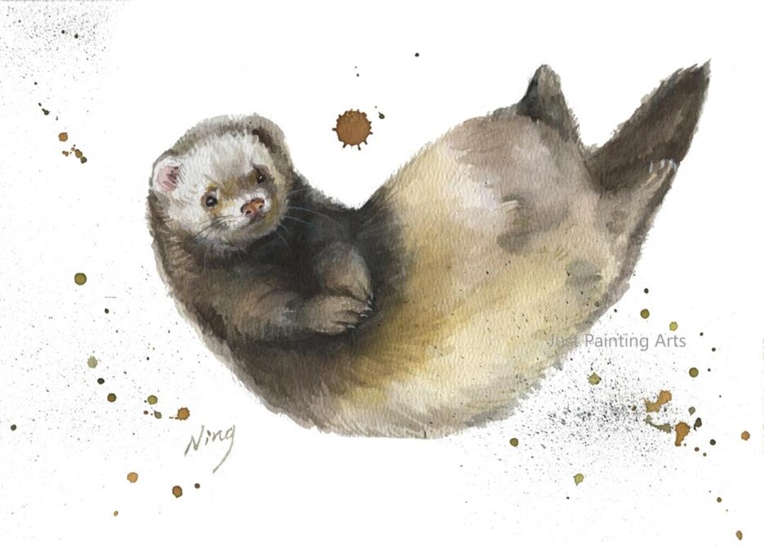 20% OFF Rub My Belly,ferret,wild Animal,water Color - Art Print - Etsy