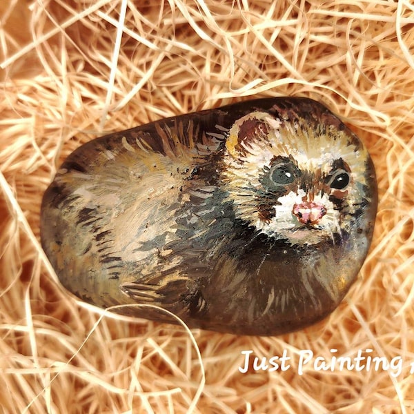 Paint Hedgehog Rock - Etsy