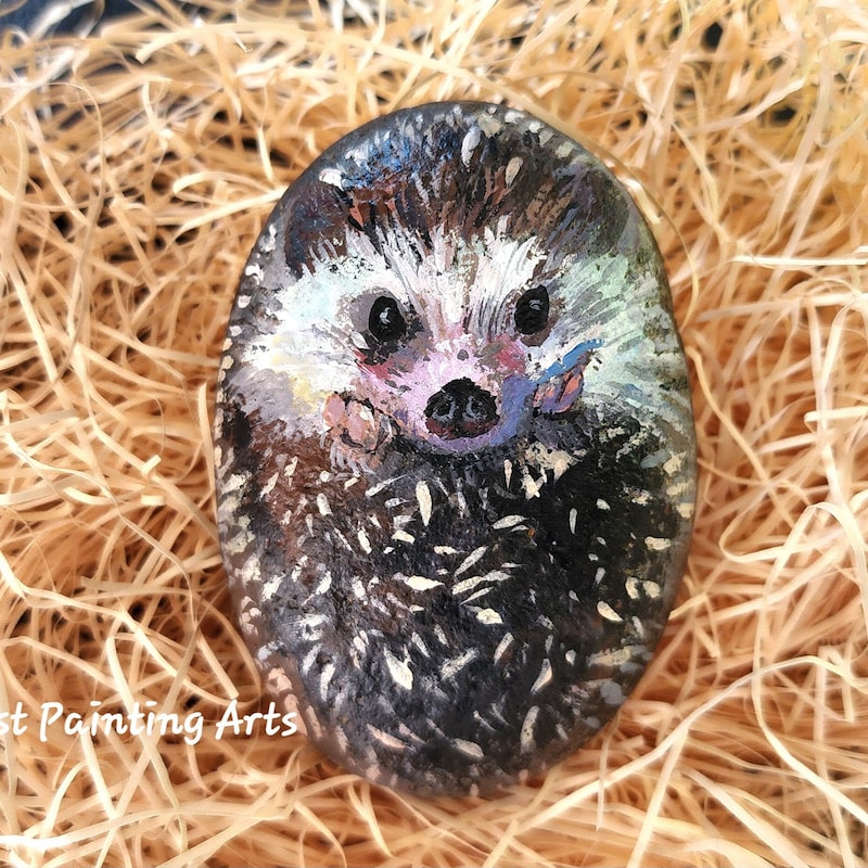 Paint Hedgehog Rock - Etsy