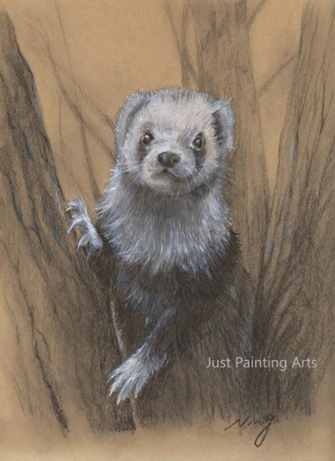 20% OFF Ferret II ,wild Animal,pencil Sketch - Art Print - Etsy