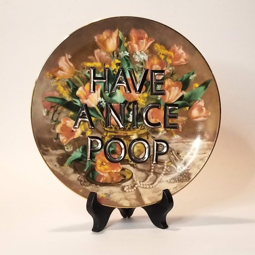 Have a Nice Poop - Funny Plate - Retro Repurposed Wall Decor ...