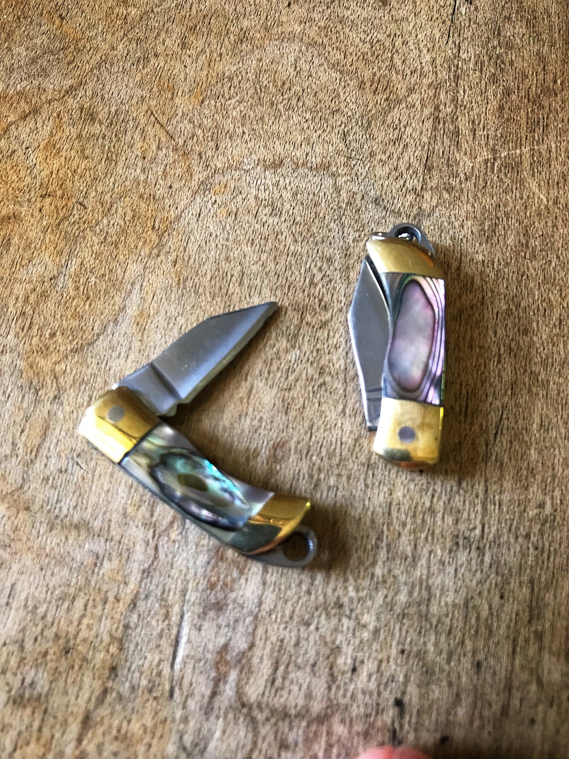 Abalone Shell Mini Miniature Folding Pocket Knife Necklace - Etsy