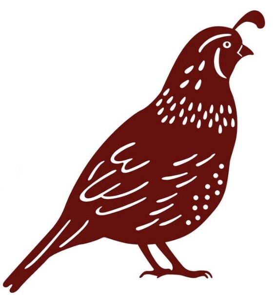 Quail Paper Towel Holder | Etsy