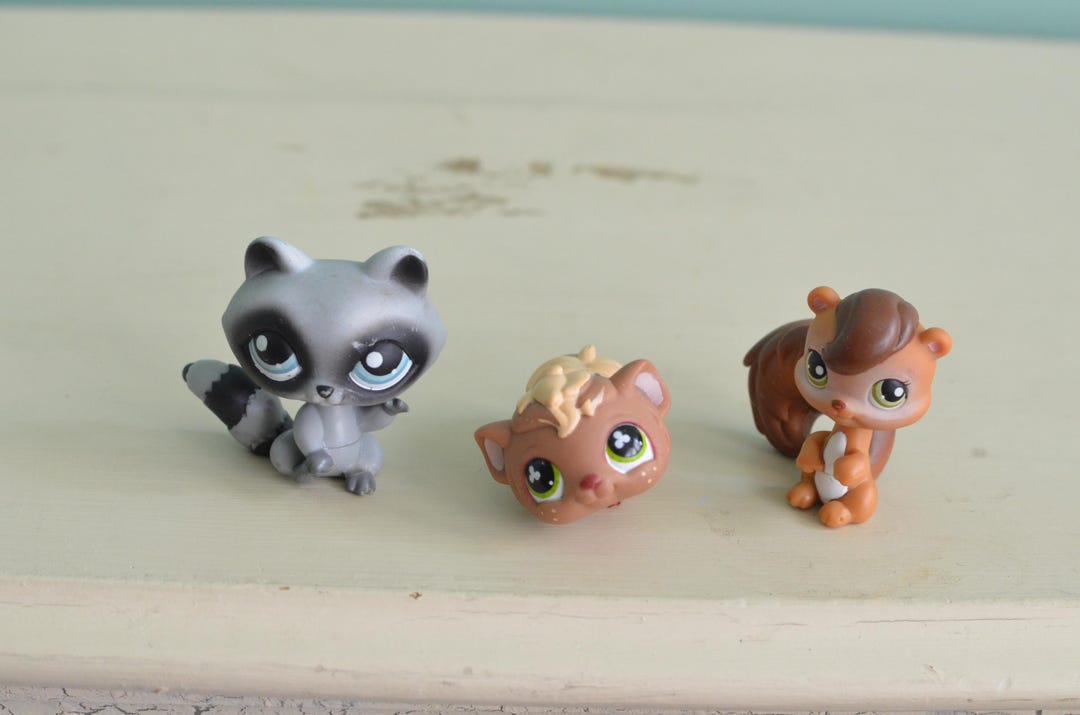 Vintage Littlest Pet Shop LPS Choice Raccoon Guinea Pig Squirrel Hasbro ...