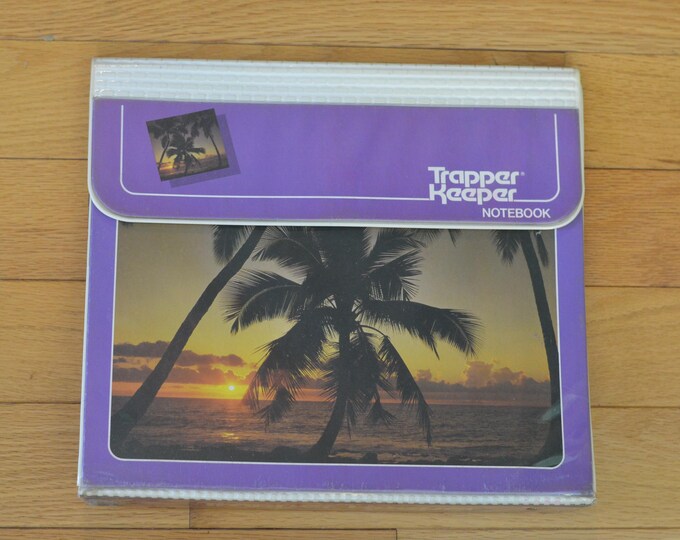 Vintage 80s Mead Trapper Keeper Palm Tree Beach Scene With 2 Folders ...