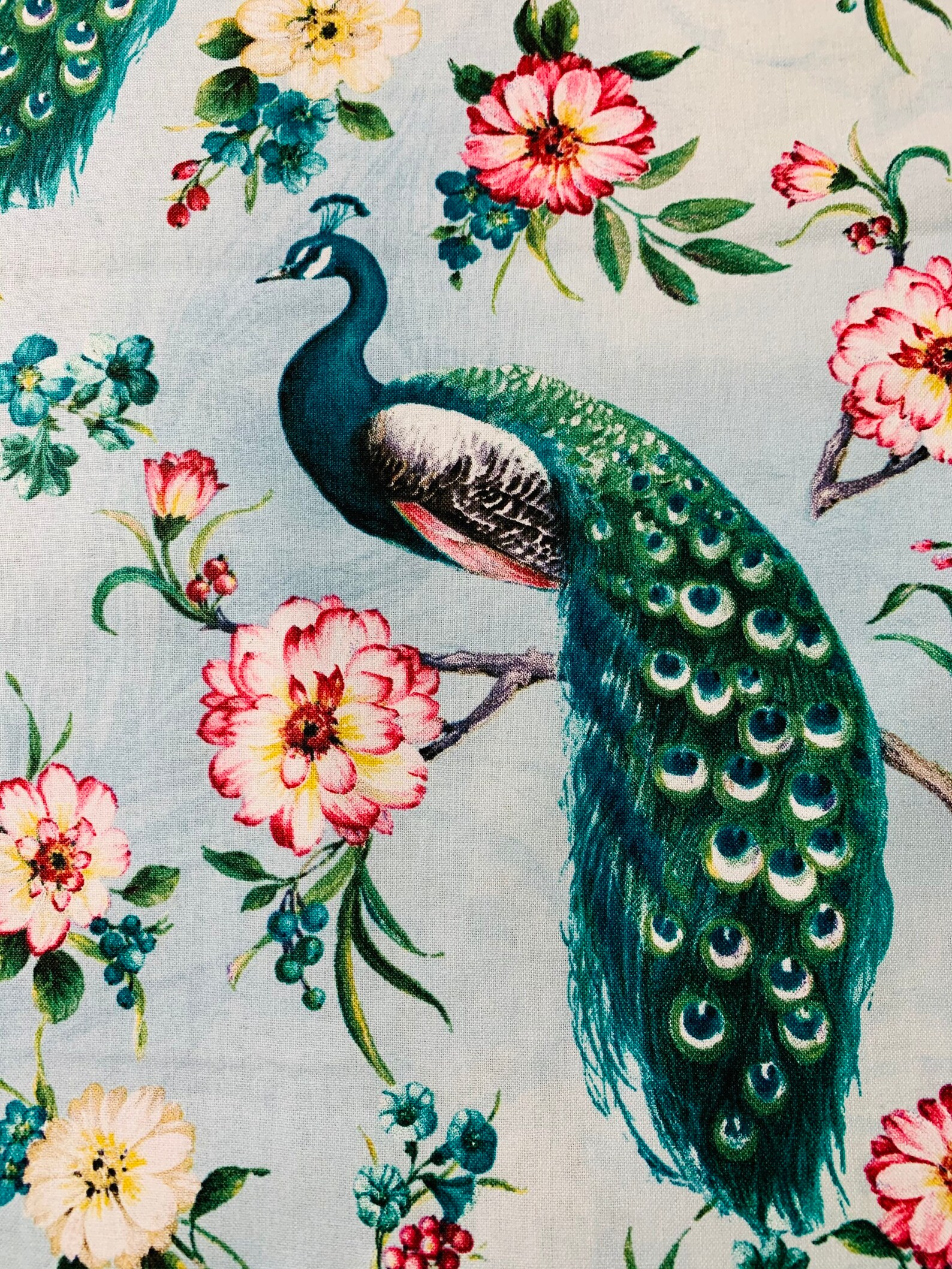 Gorgeous Light Blue Peacock Fabric.....1/2 yard of a 44 Wide | Etsy