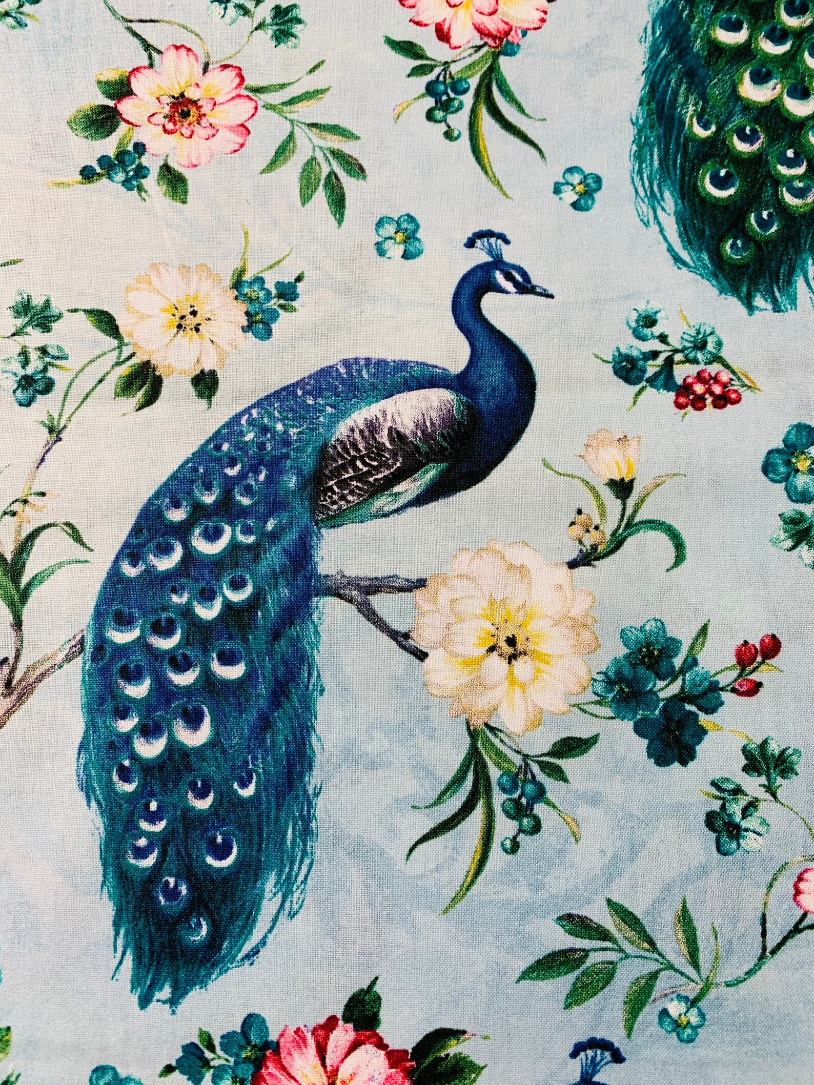 Gorgeous Light Blue Peacock Fabric.....1/2 yard of a 44 Wide | Etsy