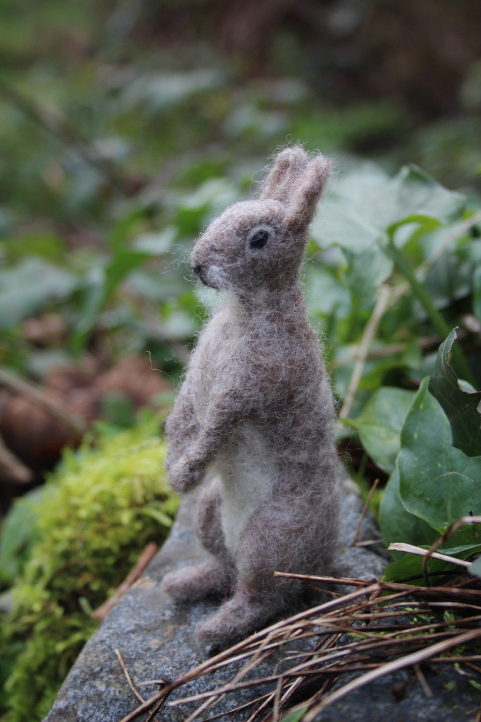 The Hoppit Rabbit Needle Felting Kit - Etsy