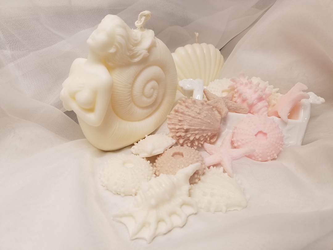 Beach Theme Seashell Wax Melts, Sea Shell Novelty Wax Melts Including ...