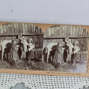 Antique Stereoscope Photo Card Stereoview 1901 Farm Children & Burro ...
