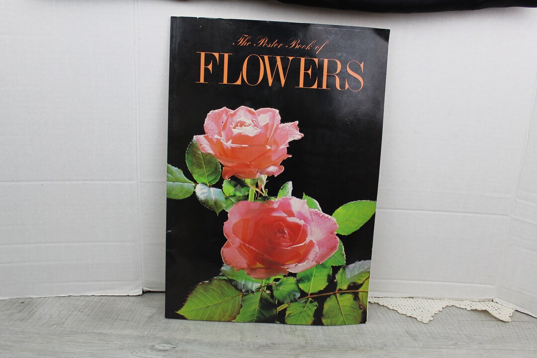 Flower Color Picture Book Soft Cover Mayflower Books NY Mid Century ...