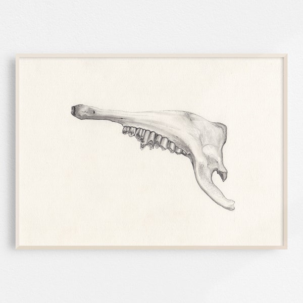 Grey Lead Drawings - Etsy