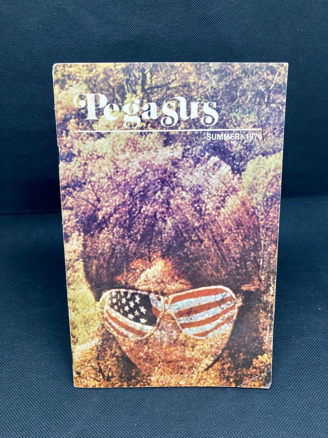 Pegasus Summer 1976 Bicentennial Edition ABAC Literary Magazine Tifton ...