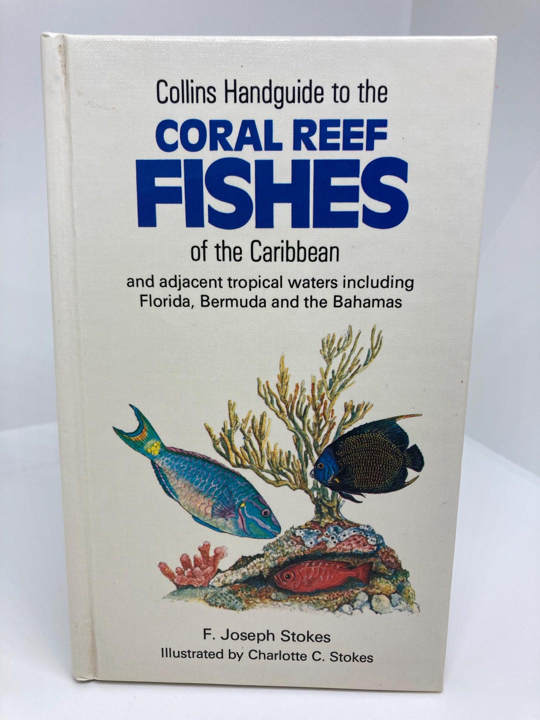 Coral Reef Fishes of the Caribbean by J Stokes Tropical Water Fish ...