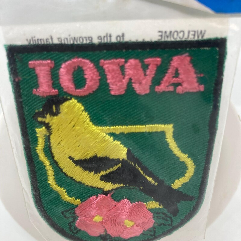 Wild Prairie Rose - Etsy