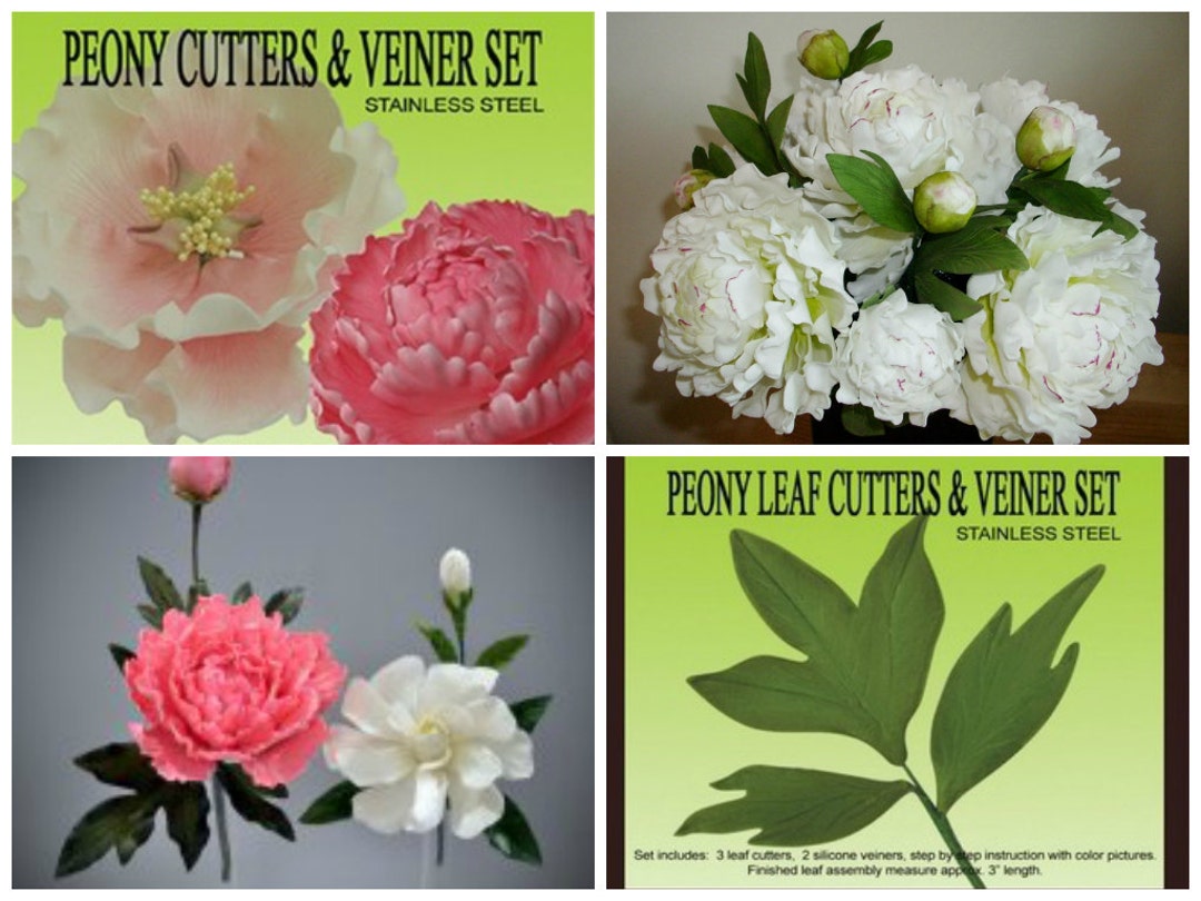 Flower Cutters and Veiners for Peony Petal and Leaves, Moth Orchid ...