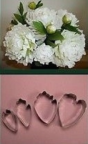 Colette Peter Large Peony Cutter Set of 4 Large Ball Tool - Etsy UK