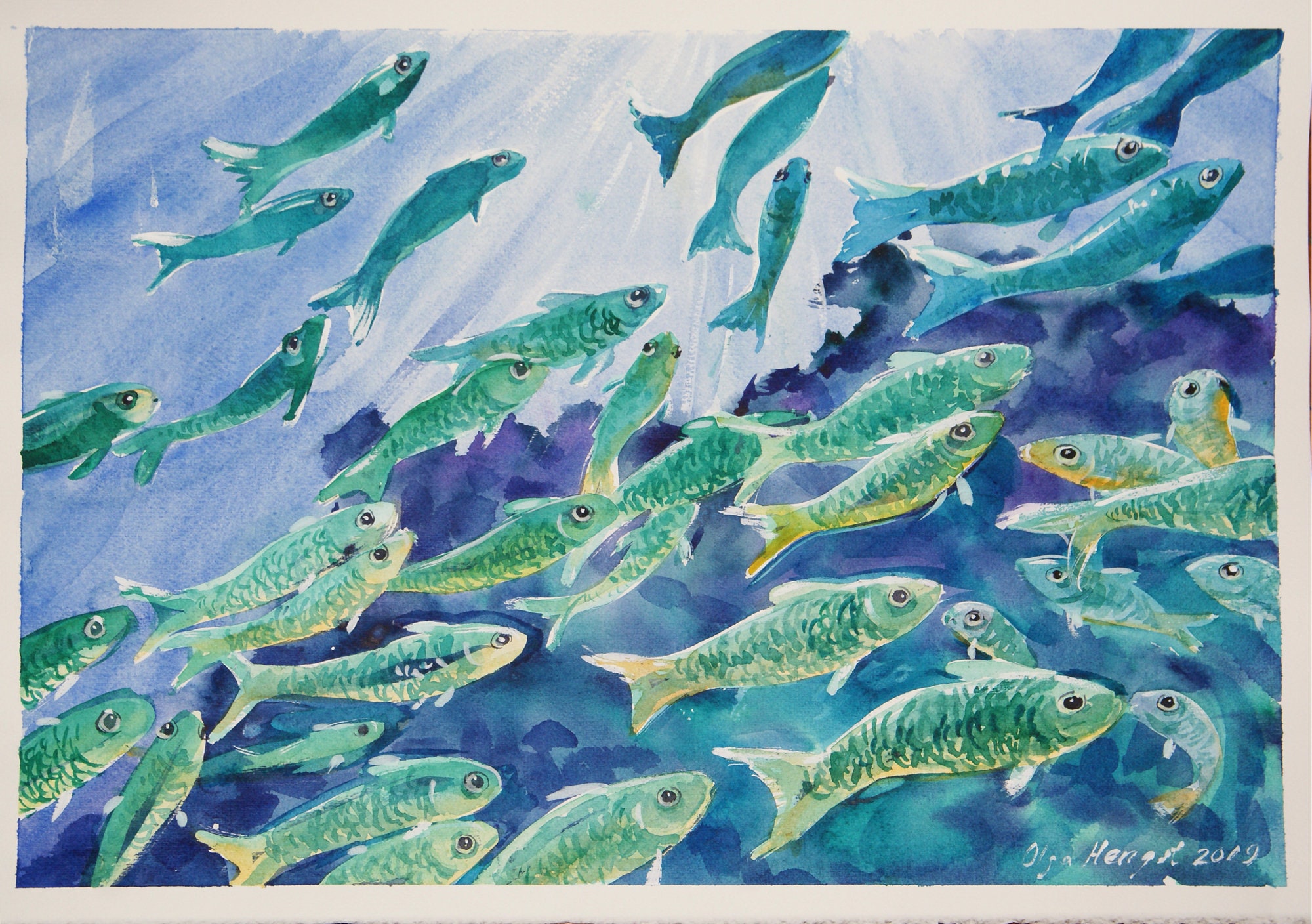 Fish painting 20x14 original Watercolour Contemporary | Etsy