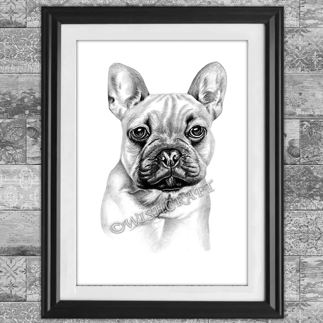 French Bulldog Pencil Drawing Art Print - Etsy
