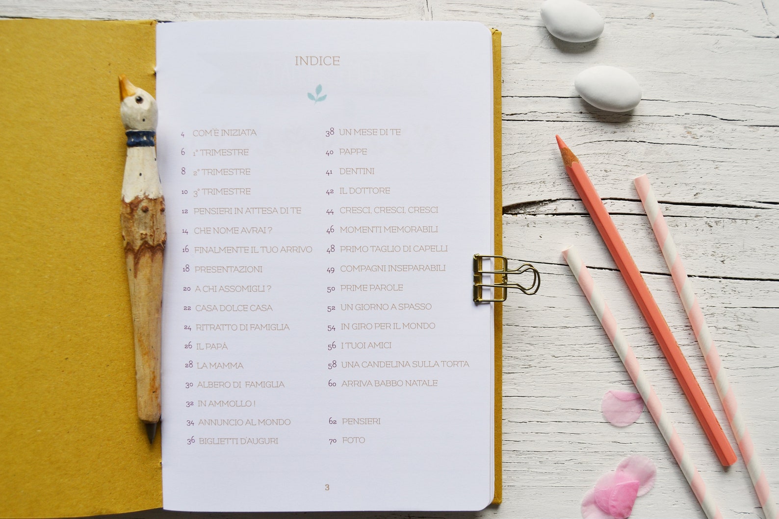 Baby Diary Nest Pregnancy Journal and Family Notebook Our - Etsy