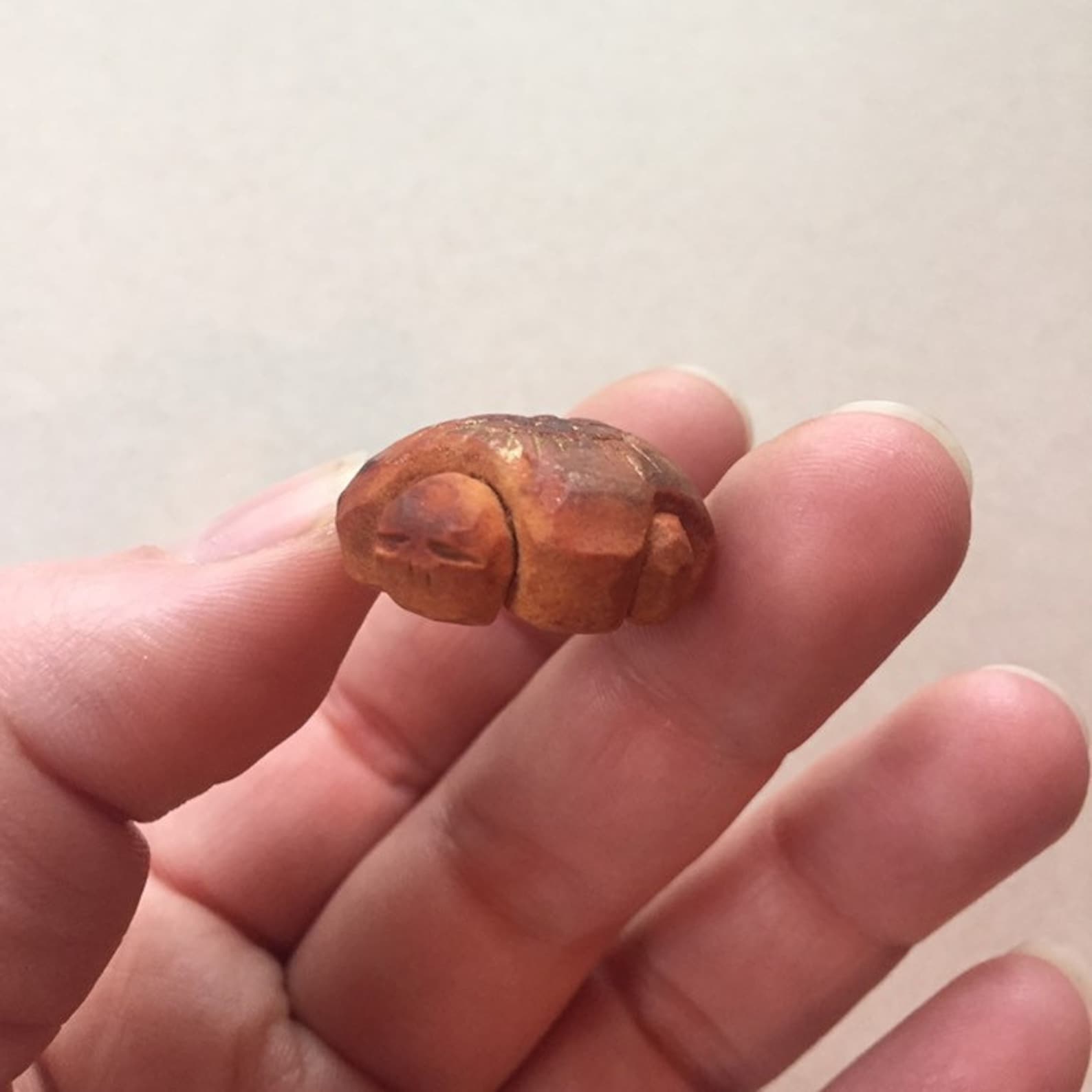 Turtle Carved From Avocado Pit. Turtle Figurine. Spirit Animal | Etsy