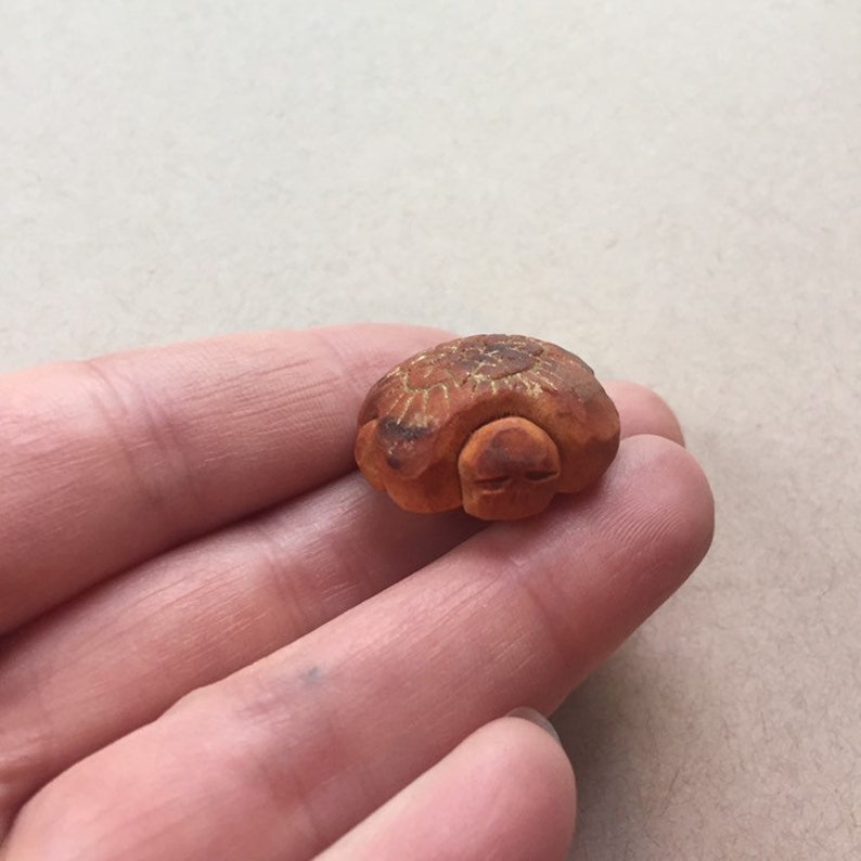 Turtle Carved From Avocado Pit. Turtle Figurine. Spirit Animal | Etsy