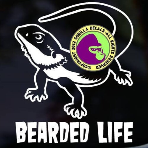 PEACE LOVE Bearded Dragon Dragons Reptile Lizard Vinyl Decal | Etsy