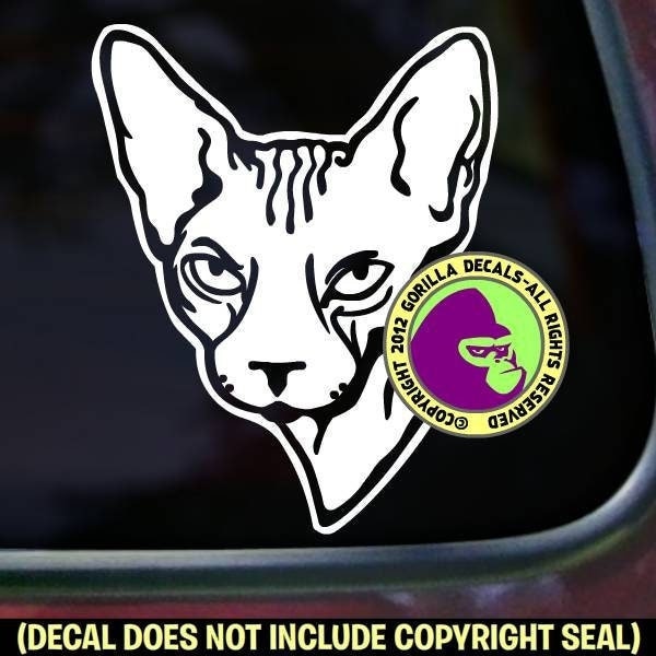 Hairless Cat Car Decal - Etsy