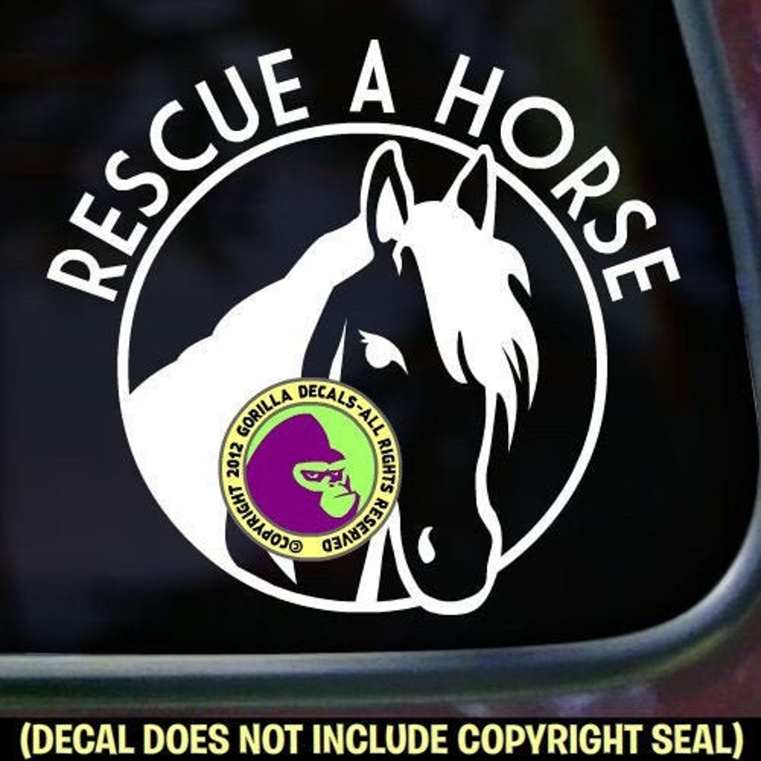 RESCUE A HORSE Equine Horses Rider Love Save Vinyl Decal Bumper Sticker ...