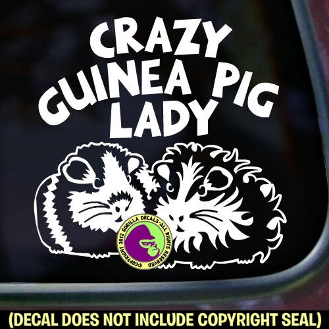 CRAZY Guinea Pig LADY Pigs Pet Love Vinyl Decal Sticker - Etsy