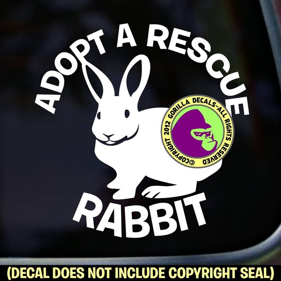 Rescue Rabbit Playmat