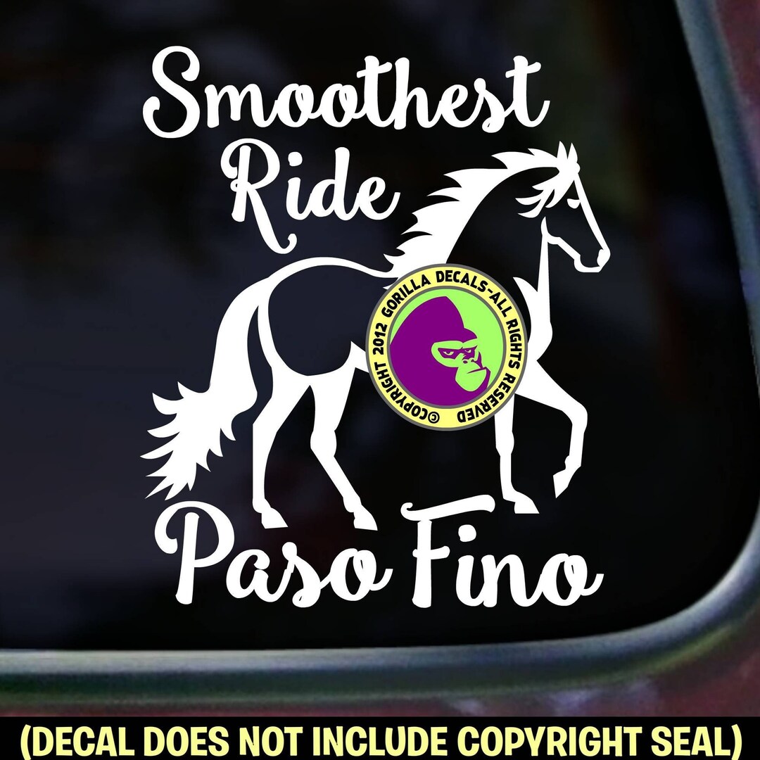 SMOOTHEST RIDE Paso Fino Horse Breed Gaited Finos Horses Riding Rider ...
